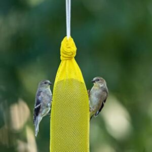 Mr. Canary Yellow 'Pair of Socks' Finch Sock Feeders, 2pk, Seed-Filled All-Season Feeders, 24oz Total