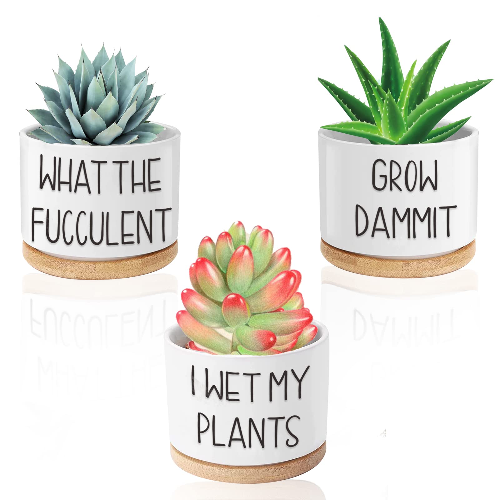 Funny Succulent Pots, 3.15 inch Ceramic Flower Plant Pots with Bamboo Tray, Cute Cactus Planters with Drainage Hole, Birthday Gifts for Women, Plant Lover Gifts, Pack of 3 - Plants Not Included