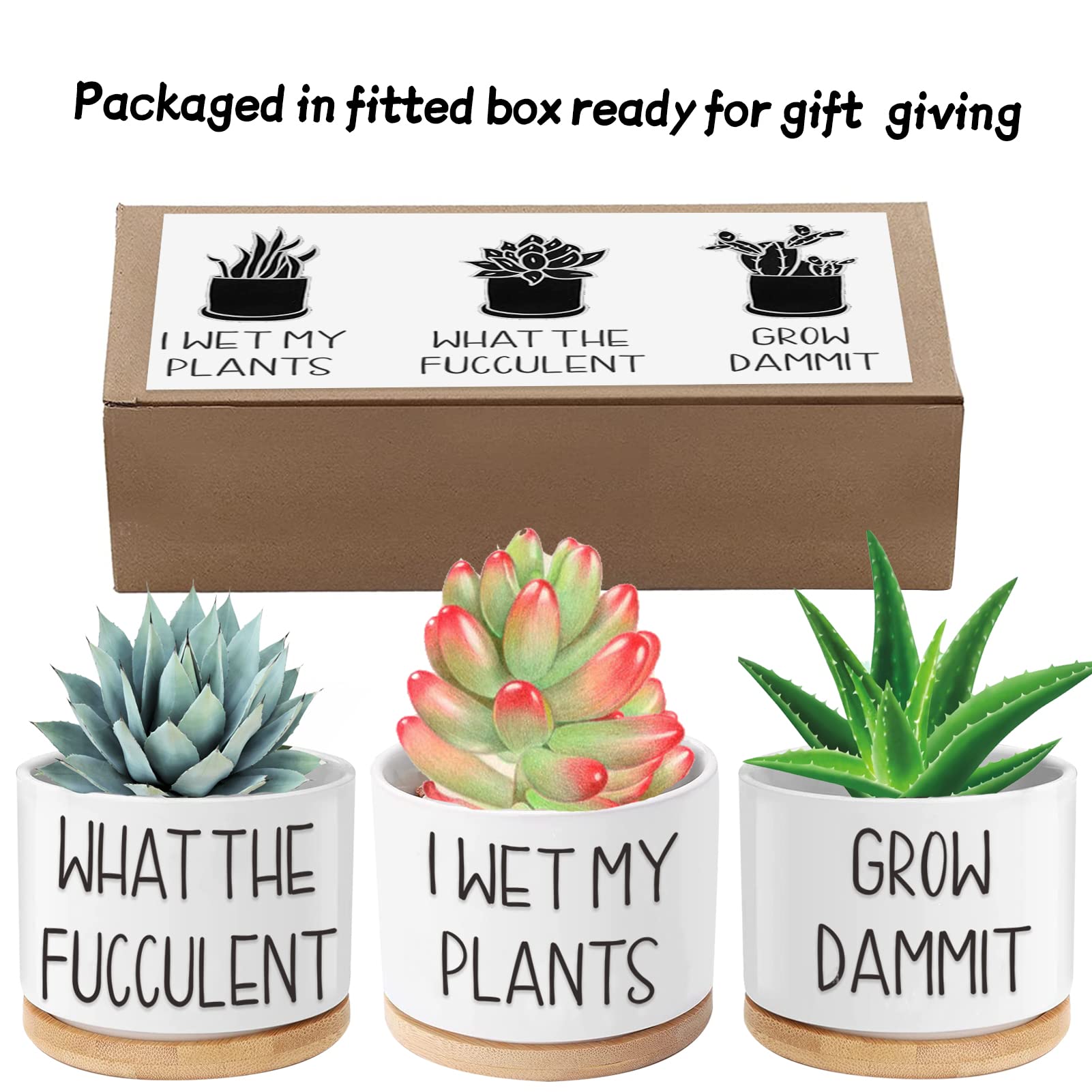 Funny Succulent Pots, 3.15 inch Ceramic Flower Plant Pots with Bamboo Tray, Cute Cactus Planters with Drainage Hole, Birthday Gifts for Women, Plant Lover Gifts, Pack of 3 - Plants Not Included