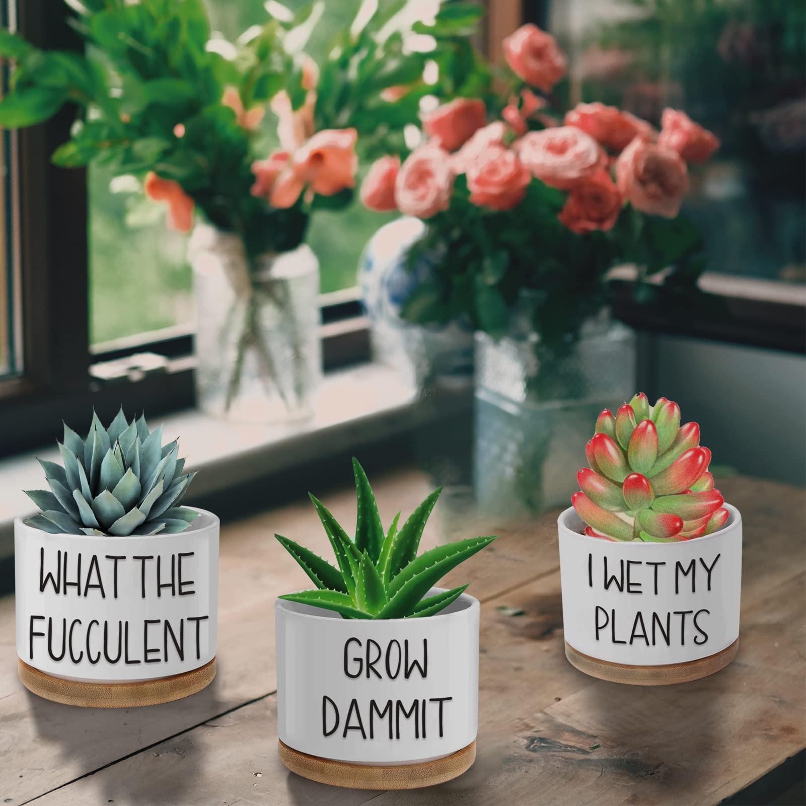 Funny Succulent Pots, 3.15 inch Ceramic Flower Plant Pots with Bamboo Tray, Cute Cactus Planters with Drainage Hole, Birthday Gifts for Women, Plant Lover Gifts, Pack of 3 - Plants Not Included