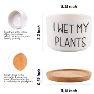 Funny Succulent Pots, 3.15 inch Ceramic Flower Plant Pots with Bamboo Tray, Cute Cactus Planters with Drainage Hole, Birthday Gifts for Women, Plant Lover Gifts, Pack of 3 - Plants Not Included