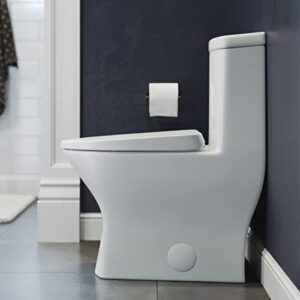 Swiss Madison Well Made Forever SM-1T277, Sublime II One-Piece Round Toilet, 10" Rough-In 1.1/1.6 gpf