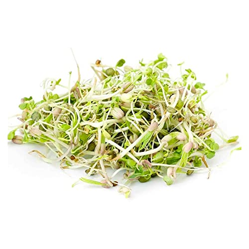 Todd’s Seeds - Country Delight Sprouting Seed Mix - One Pound - Sprouting Seeds for Microgreens - Clover, Cress, Arugula, Radish and Dill - Chemical Free - Non GMO