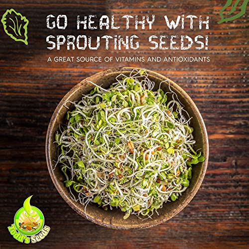 Todd’s Seeds - Country Delight Sprouting Seed Mix - One Pound - Sprouting Seeds for Microgreens - Clover, Cress, Arugula, Radish and Dill - Chemical Free - Non GMO