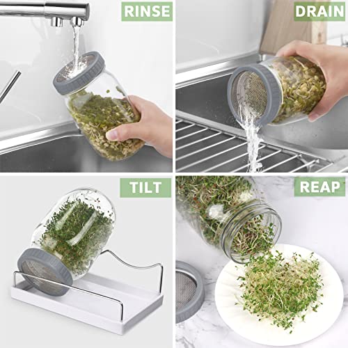 Complete Sprouting Jar Kit| 2 Wide Mouth Mason Jars, 316 Screen Sprout Lids, Blackout Sleeves, Tray, Stand| Sprouter Set for Growing Broccoli, Alfalfa and More-Seeds not Included