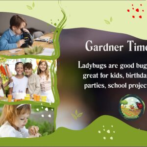 300 Live Ladybugs - Gardner Time - Good Bugs for Garden - Bag of LiveLadybugs - Guaranteed Live Delivery