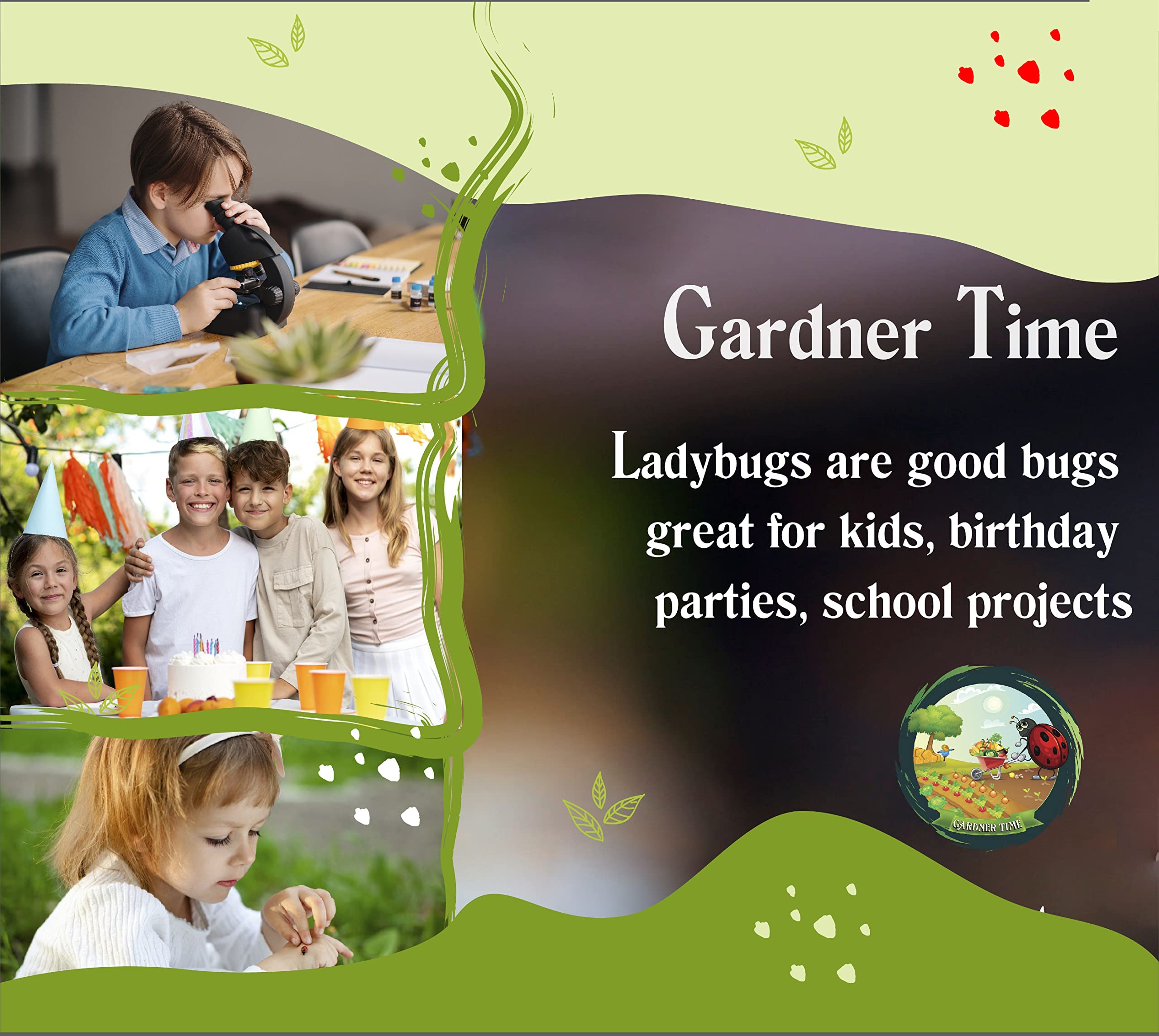 300 Live Ladybugs - Gardner Time - Good Bugs for Garden - Bag of LiveLadybugs - Guaranteed Live Delivery