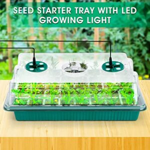 Yskea Seed Starter Kit with Grow Light, 80 Cells Seed Starter Tray with Light, Seedling Starter Trays with Vented Humidity Dome and Base, Indoor Gardening Plant Germination Kit, 2-Pack