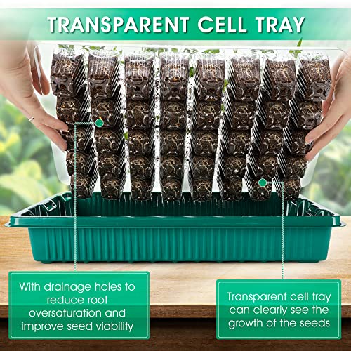 Yskea Seed Starter Kit with Grow Light, 80 Cells Seed Starter Tray with Light, Seedling Starter Trays with Vented Humidity Dome and Base, Indoor Gardening Plant Germination Kit, 2-Pack