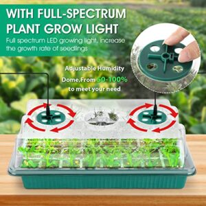 Yskea Seed Starter Kit with Grow Light, 80 Cells Seed Starter Tray with Light, Seedling Starter Trays with Vented Humidity Dome and Base, Indoor Gardening Plant Germination Kit, 2-Pack