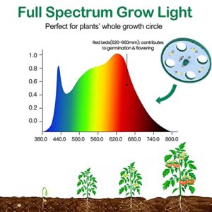 Yskea Seed Starter Kit with Grow Light, 80 Cells Seed Starter Tray with Light, Seedling Starter Trays with Vented Humidity Dome and Base, Indoor Gardening Plant Germination Kit, 2-Pack