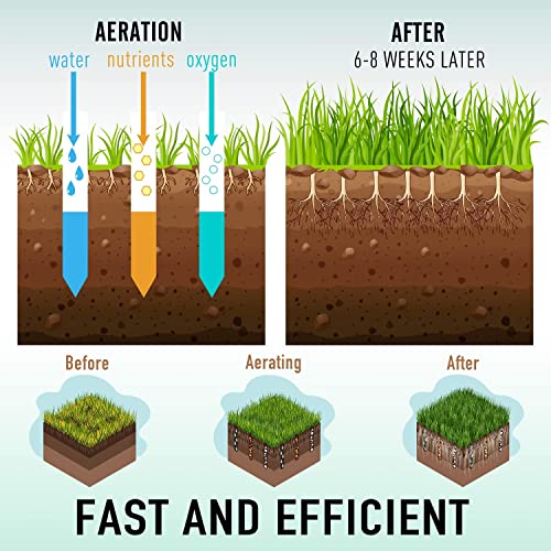 Colwelt Spike Lawn Aerator, Manual Aerator for Compacted Soils and Lawns, Non-Slip T-Handle Spike Aeration with Four 3.5-Inch Solid Steel Spikes, 38-Inch