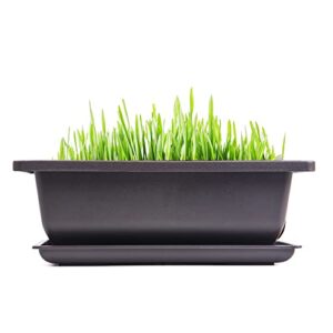 Bonsai Pots – 3pcs Bonsai Pot with Humidity Trays for Indoor Plants – Bonsai Pots with Drainage Tray and Built-In Mesh – Durable Plastic Bonsai Tree Pot with Irrigation Holes – 9"D x 6.7"W x 3"H