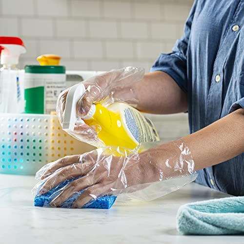 Comfy Package 500 Count Disposable Sterile Poly Plastic Gloves for Cooking, Food Prep and Food Service | Latex & Powder Free - One Size Fits Most