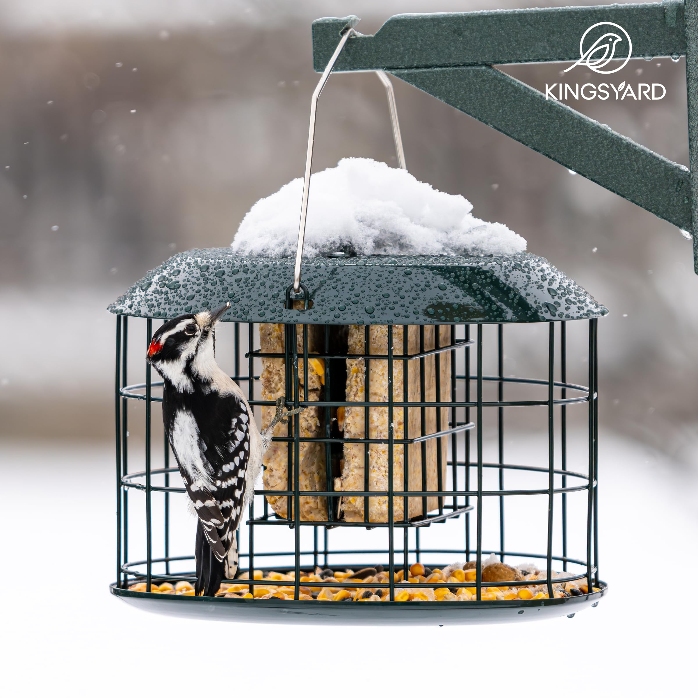 Kingsyard Squirrel Proof Suet Feeder, Cage Bird Feeders for Outdoors Hanging, All Metal, Double Suet Cake Capacity, Tray & Weatherproof, Green