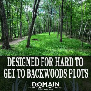 Domain Outdoor No BS Deer Food Plot Seed for Deer, 1/4 Acre, Finally a No Till Mix with Zero Fillers, No Heavy Equipment Required - Forage Oats, Clover, Forage Rape, Chicory, Radish