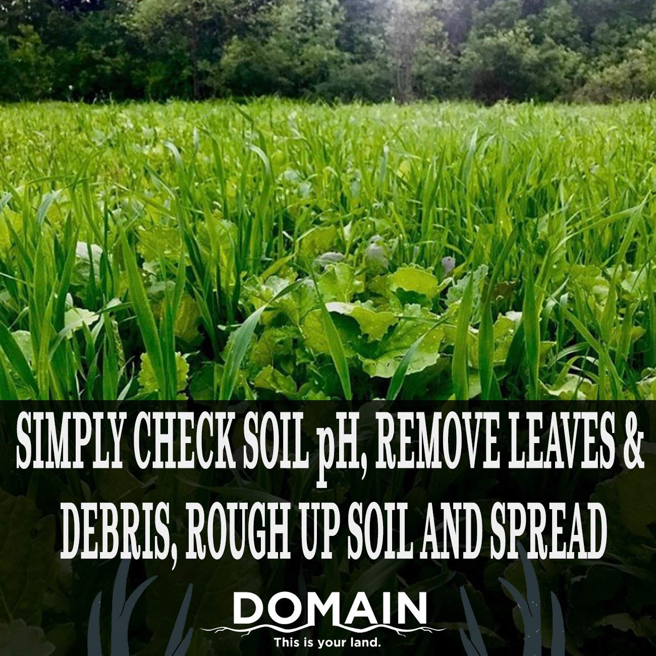 Domain Outdoor No BS Deer Food Plot Seed for Deer, 1/4 Acre, Finally a No Till Mix with Zero Fillers, No Heavy Equipment Required - Forage Oats, Clover, Forage Rape, Chicory, Radish