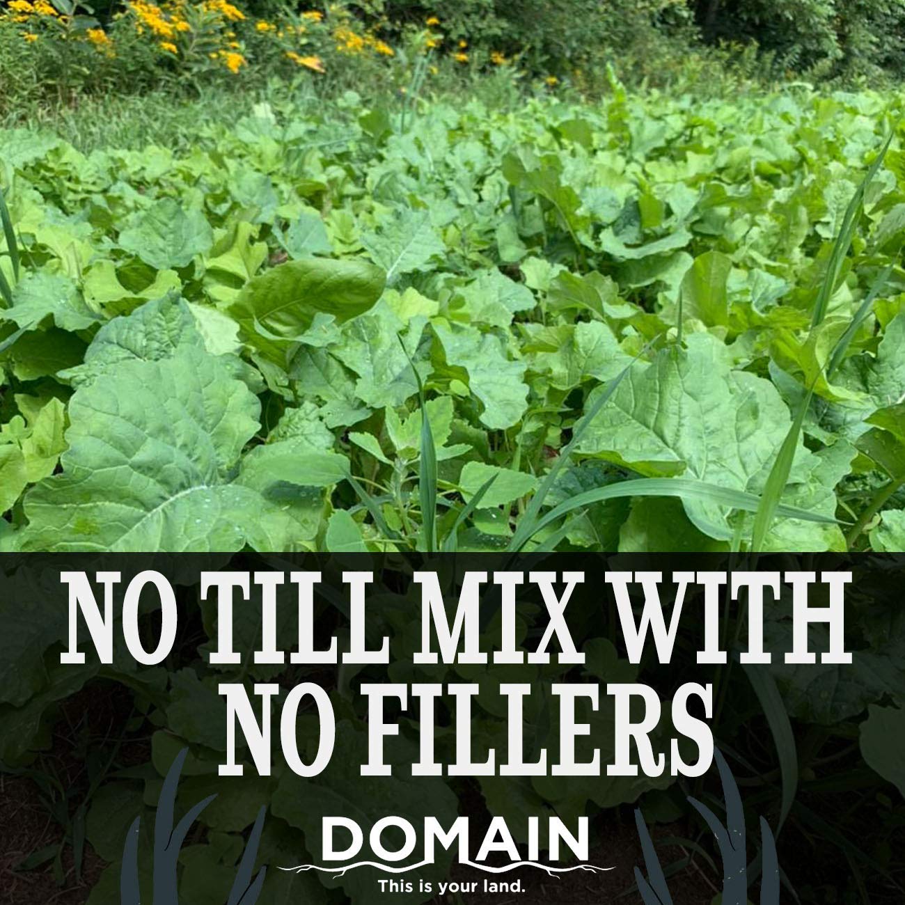 Domain Outdoor No BS Deer Food Plot Seed for Deer, 1/4 Acre, Finally a No Till Mix with Zero Fillers, No Heavy Equipment Required - Forage Oats, Clover, Forage Rape, Chicory, Radish