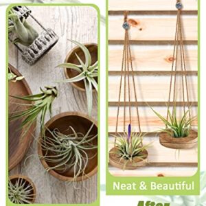 6 Pcs Hanging Wooden Air Plant Holder - 3" Round Wooden Air Plant Hanger with Jute Ropes, Rustic Air Plant Stand Tillandsia Succulent Display Container for Home Office Decor (Plants Not Included)