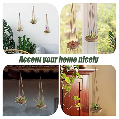 6 Pcs Hanging Wooden Air Plant Holder - 3" Round Wooden Air Plant Hanger with Jute Ropes, Rustic Air Plant Stand Tillandsia Succulent Display Container for Home Office Decor (Plants Not Included)