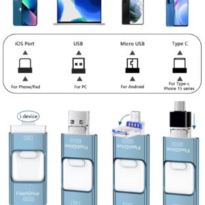 Sunany USB Flash Drive 256GB, Photo Stick Memory External Data Storage Thumb Drive Compatible for Phone, Pad, Android, PC and More Devices (Blue)