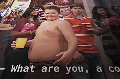 Gibby "What Are You, A Cop?" Flag, Funny Flag for College Dorm, Available In Sizes From 40" To 90", Skin-friendly Soft High-definition Meme Flag(Size:40"×30")