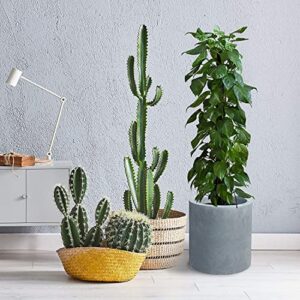 12.9" w round charcoal concrete/fiberglass indoor outdoor elegant planter