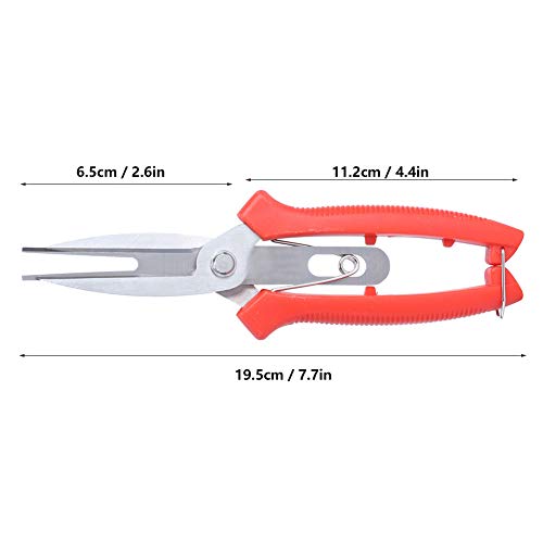 Kadimendium Tree Trimmers, Garden Secateurs Bonsai Tools for Outdoor Use for Branches for Fruit Yield