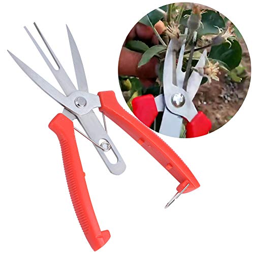 Kadimendium Tree Trimmers, Garden Secateurs Bonsai Tools for Outdoor Use for Branches for Fruit Yield