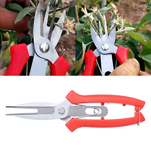 Kadimendium Tree Trimmers, Garden Secateurs Bonsai Tools for Outdoor Use for Branches for Fruit Yield