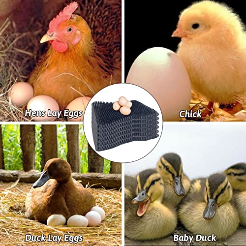 Hamiledyi Chicken Nesting Box Pads, 6PCS Hen Nest Mats Washable, Chicken Nesting Box Plastic Liners, Reusable Egg Laying Mats for Chicken Coop Poultry Nest Boxes Ducks