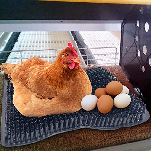 Hamiledyi Chicken Nesting Box Pads, 6PCS Hen Nest Mats Washable, Chicken Nesting Box Plastic Liners, Reusable Egg Laying Mats for Chicken Coop Poultry Nest Boxes Ducks