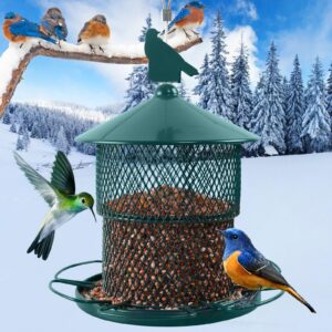 metal bird feeders for outside hanging,squirrel proof wild bird feeders for cardinal, heavy duty with 4lbs large seed capacity,6 perches for garden yard outdoors