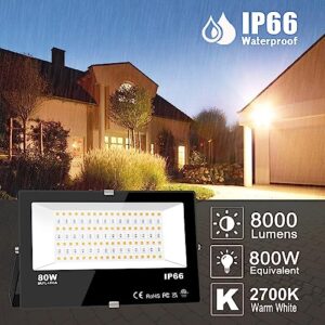 ILC LED Flood Light 80W, 8000LM, Outdoor RGB Color Changing, Smart Floodlights RGBW 2700K Warm White & 16 Million Colors, 20 Modes, Grouping, Timing, IP66 Waterproof (2 Pack)