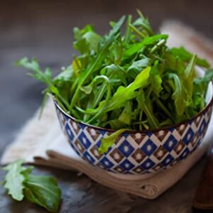 Arugula Seeds for Planting, 350 Arugula Rocket Seeds, Eat Arugula Fresh from Your Own Garden, High Germination, Heirloom Vegetable Varieties, Non-GMO