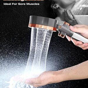 Filtered Handheld Shower Head, ELWEY High Pressure Showerhead with [Rainfall] [Mist] [Massage] Spray Modes Shower wand Comes With [Stainless Steel Hose] [Teflon Tape] [Shower Filter Replacement]