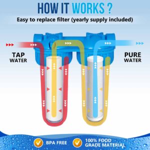 Dual Whole House Water Filter System, Transparent Standard Housings, Presser Relief Valve, 3/4” Inlet/Outlet Brass Port, Yearly supply of Sediment & Carbon Cartridges Meets NSF Standards & Regulations