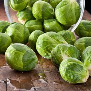 The Old Farmer's Almanac Heirloom Brussels Sprouts Seeds (Long Island Improved) - Approx 700 Seeds - Non-GMO, Open Pollinated, USA Origin