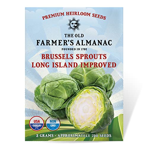 The Old Farmer's Almanac Heirloom Brussels Sprouts Seeds (Long Island Improved) - Approx 700 Seeds - Non-GMO, Open Pollinated, USA Origin