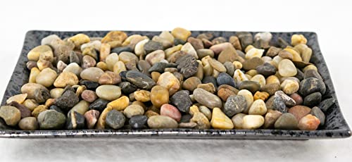 7.75" Rectangular Black Stain Ceramic Humidity/Drip Tray for Bonsai Tree + Rock