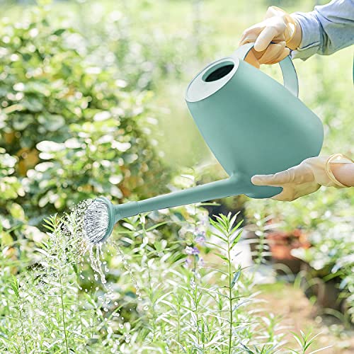 MINIMALISM Watering Can for Indoor House Bonsai Plants Outdoor Garden Flower Detachable Long Spout 1.8L 60oz 1/2 Gallon Green