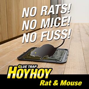 HOY HOY Jumbo Size Rat & Mouse Indoor/Outdoor Glue Trap 2 Large Traps [1 Pack] - Heavy-Duty Professional Strength Ready-to-Use Pest Control, Kids & Pets Friendly Household Pests & Insects