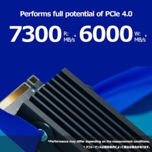 Nextorage Japan 1TB(1000GB) Internal SSD Work with New Playstation 5 Console and PC M.2 2280 Gen4 NVMe with Heatsink NEM-PA1TB/N SYM Maximum Transfer Rate Read: 7300MB/s, Write: 6000MB/s