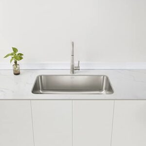 ZUHNE 30-Inch Stainless Steel Single Bowl Undermount Kitchen Sink