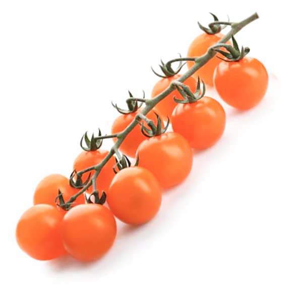 For 2024!Best Taste Cherry Tomato Seeds for Planting-Sun Gold.Non GMO Garden Seeds for Planting Vegetables Seeds at Home Vegetable Garden & Hydroponics Seed Pods:10ct Sungold Cherry Tomato Plant Seeds