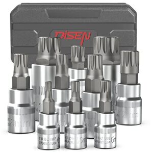 disen 10 pieces xzn triple square spline bit socket set with enhanced storage case, chrome vanadium steel & s2 alloy steel, metric size 4mm-18mm