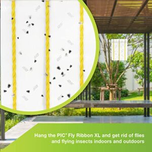 PIC Fly Ribbon XL - Large Fly Traps for Outdoors and Barns, 40FT Roll, Pack of 2