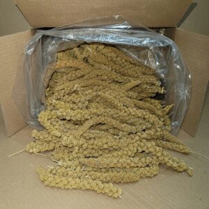 Penn Seed Spray Millet Heads (No Stems Only Edible Tops) 5 lbs.