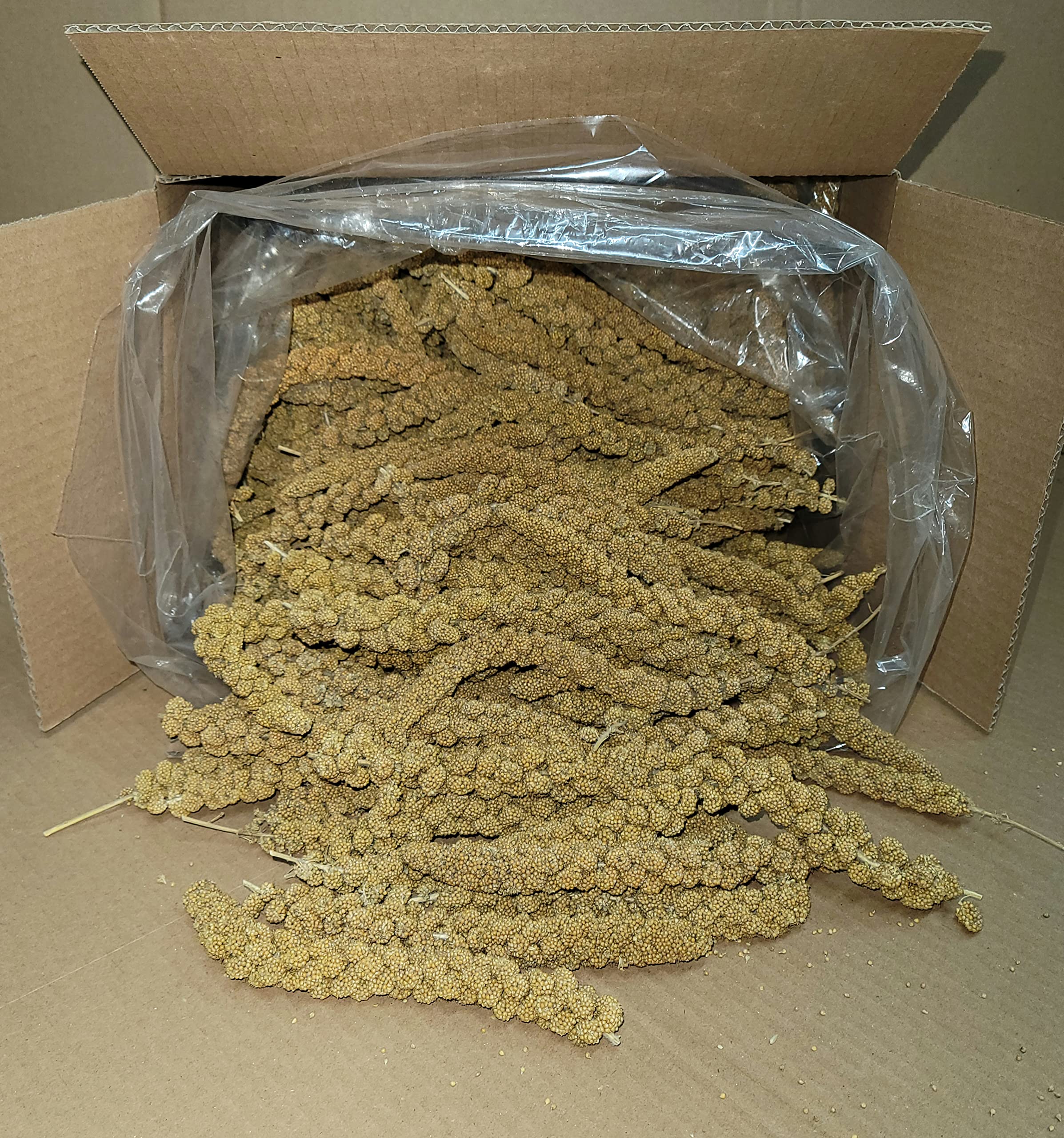 Penn Seed Spray Millet Heads (No Stems Only Edible Tops) 5 lbs.