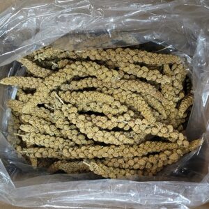 Penn Seed Spray Millet Heads (No Stems Only Edible Tops) 5 lbs.